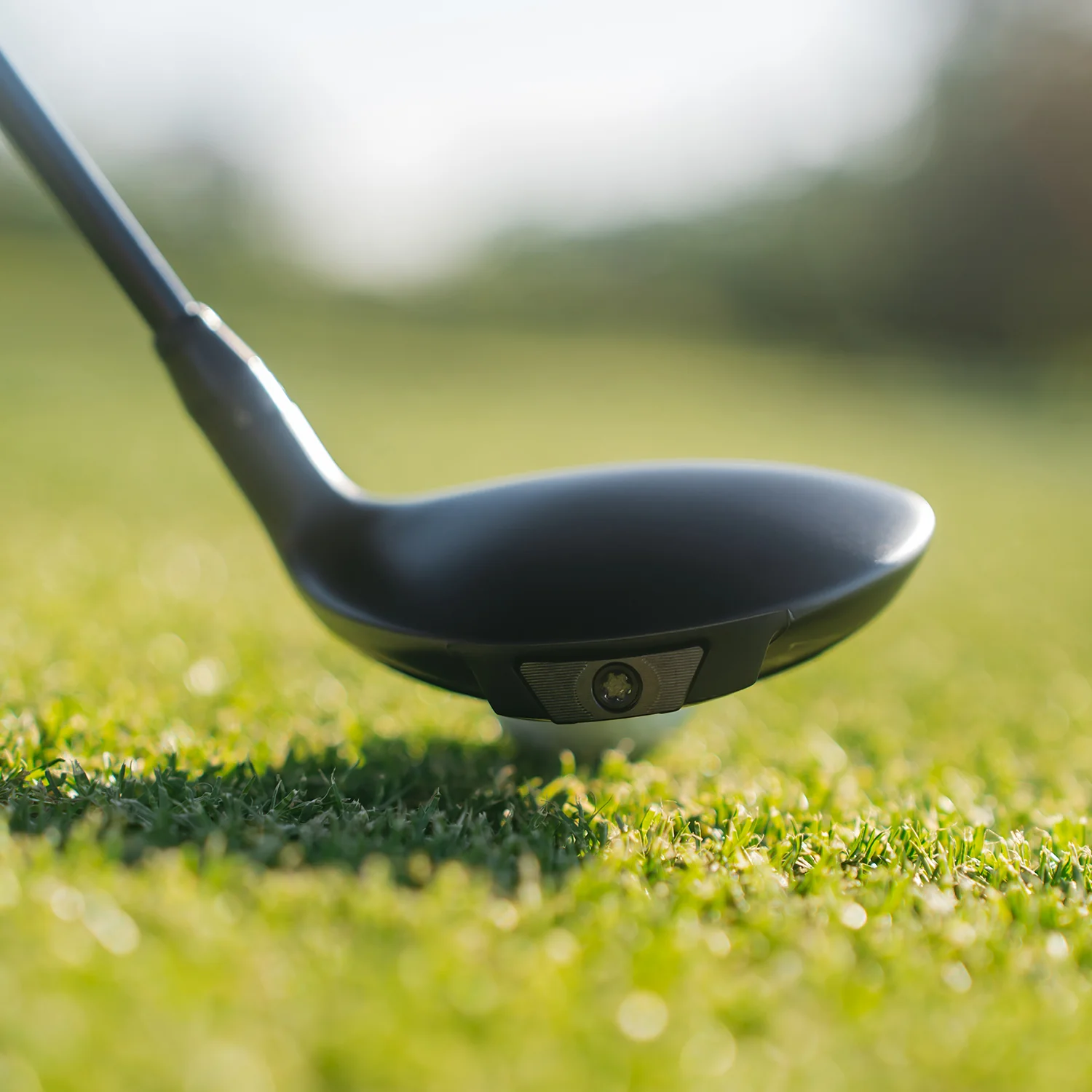 House of Takomo | Proline Golf Oy